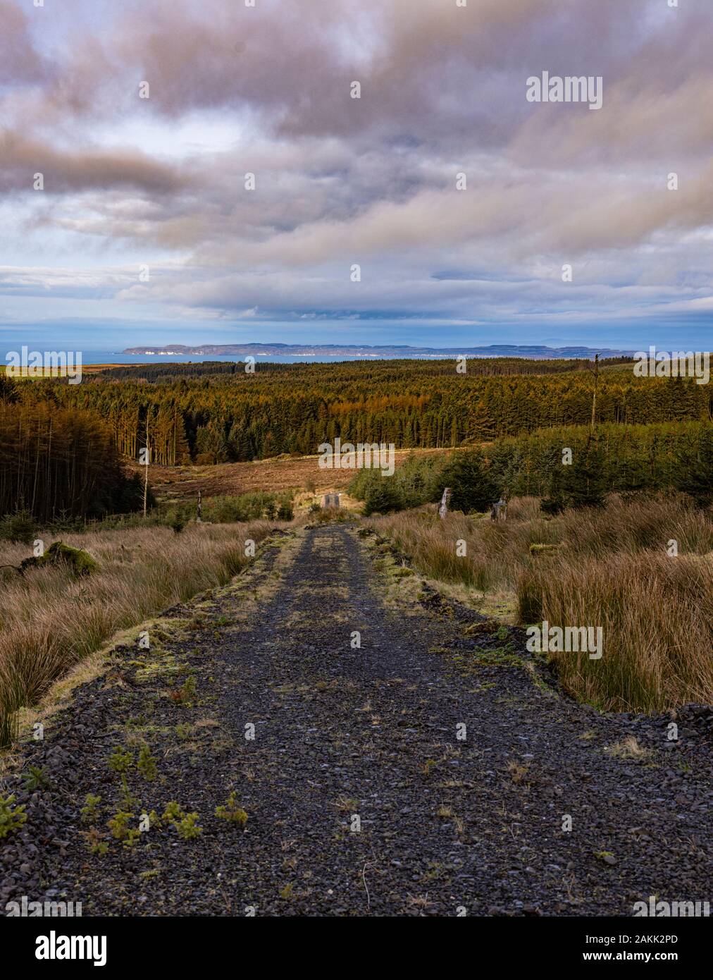 Ballypatrick forest and Rathlin Island, Causeway coastal route ...