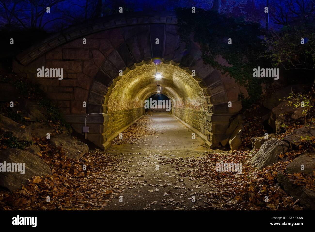 Inscope hi-res stock photography and images - Alamy