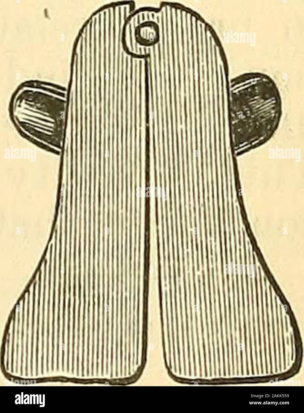 Prepuce hi-res stock photography and images - Alamy