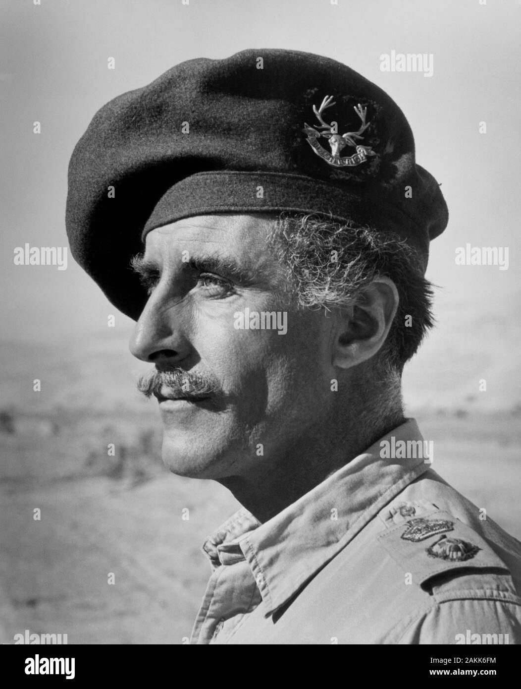 Nigel Green Hercules Profile