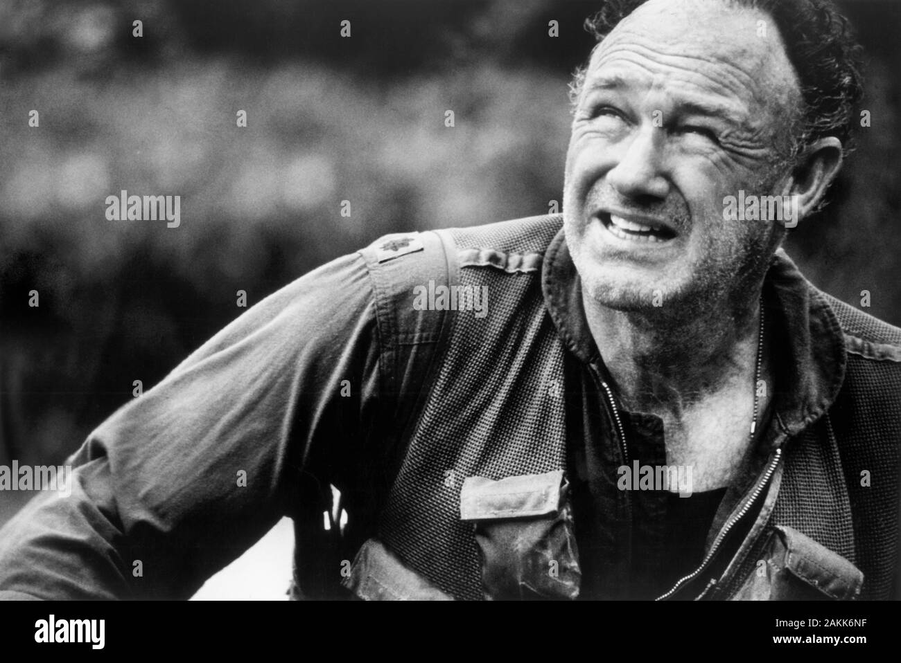 Bat pictures Black and White Stock Photos & Images - Alamy