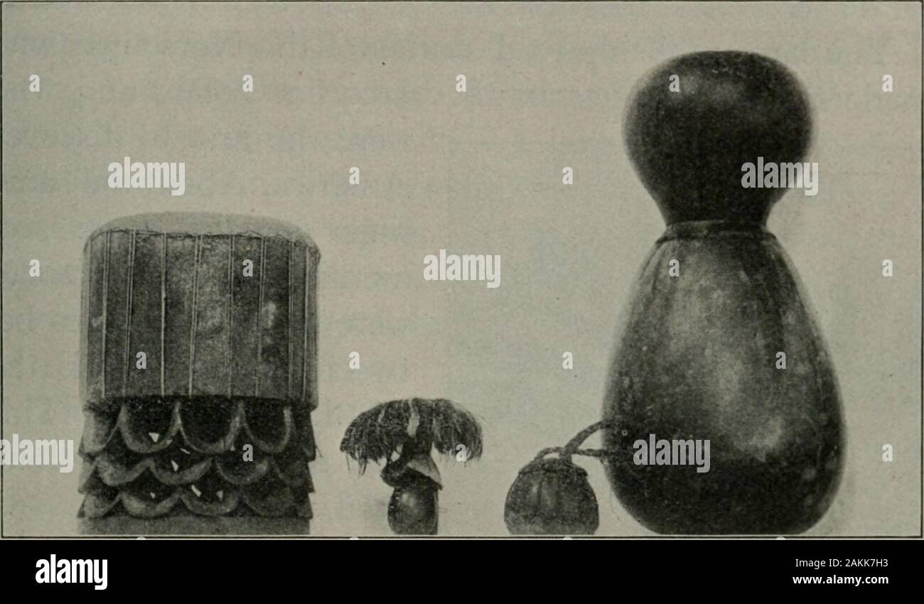 Tabu tree hi-res stock photography and images - Alamy