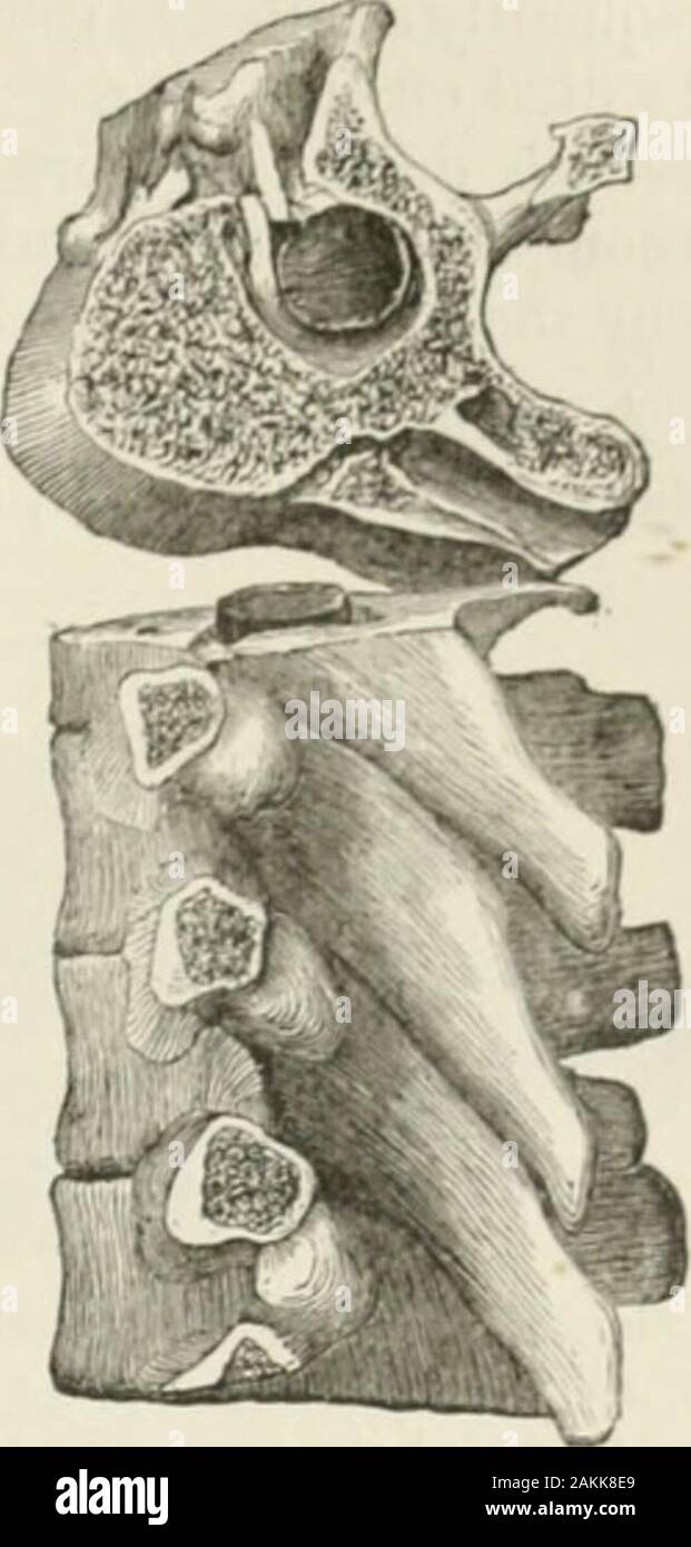 Chical hi-res stock photography and images - Alamy