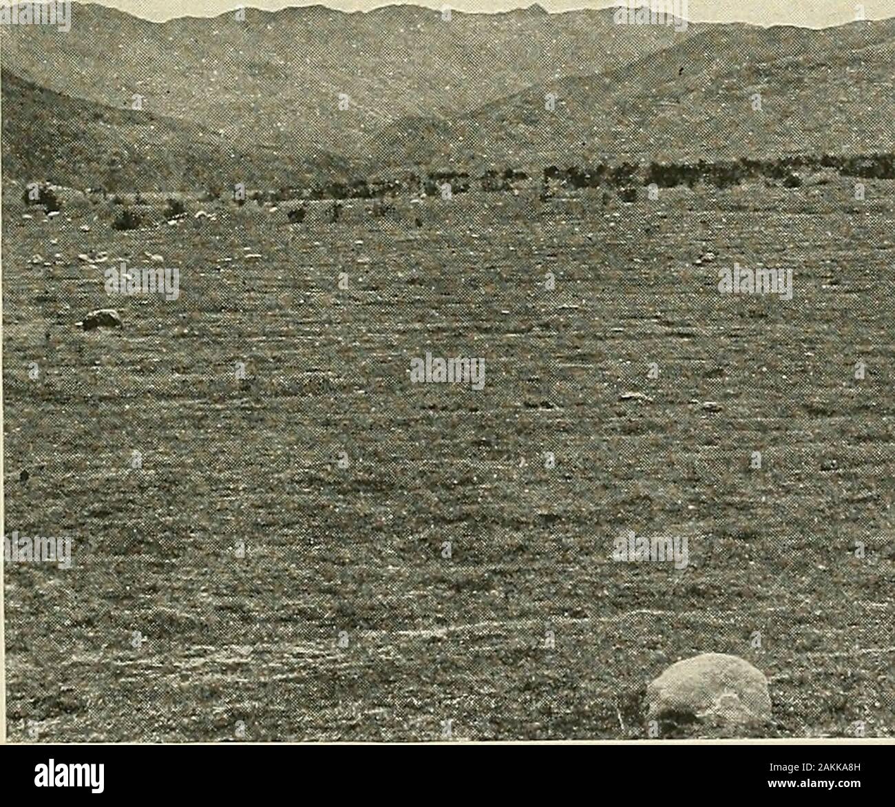 Alluvial basin fill hi-res stock photography and images - Alamy