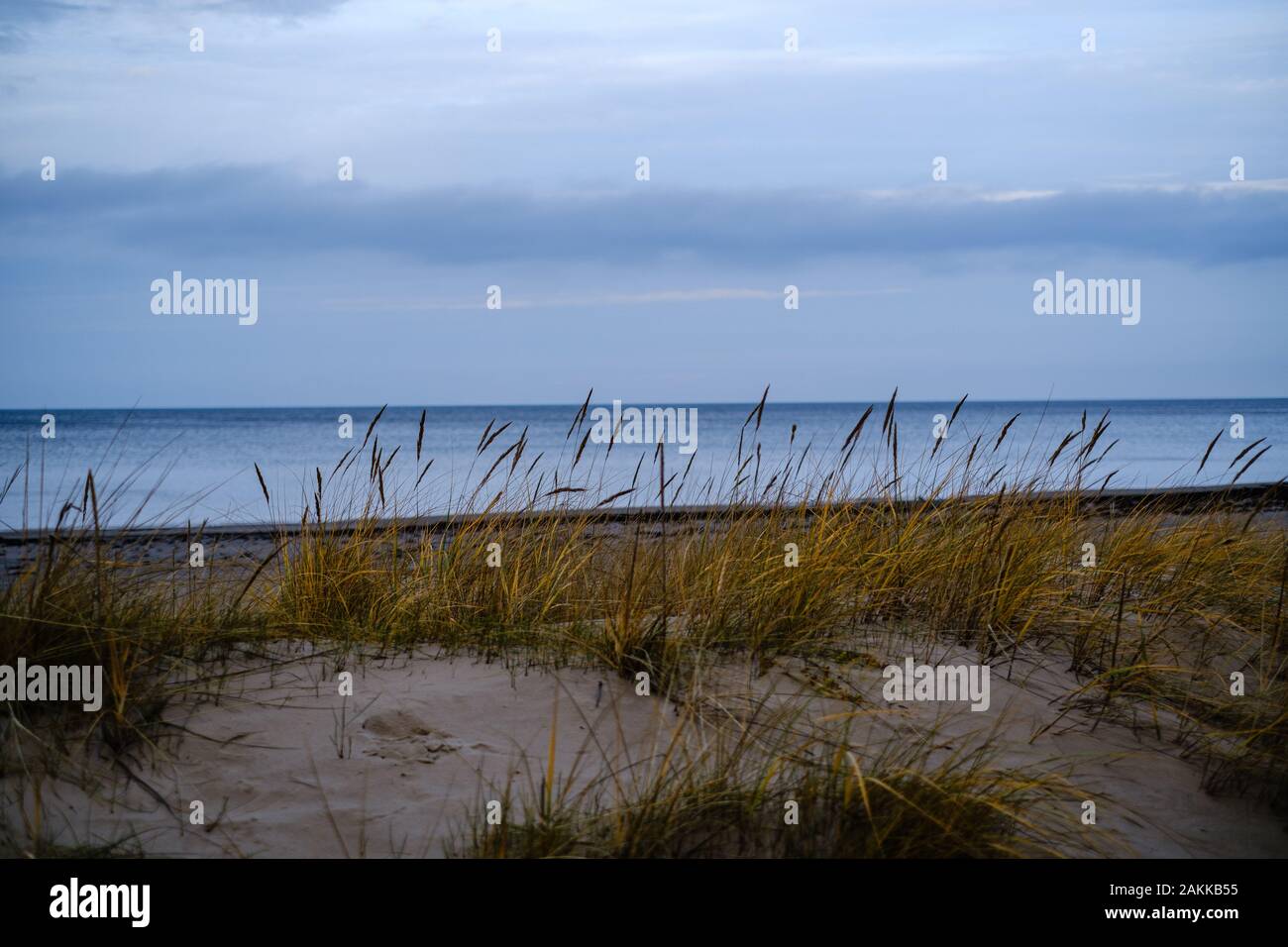 empty sea beach in autumn with some bushes and dry grass. water in ...