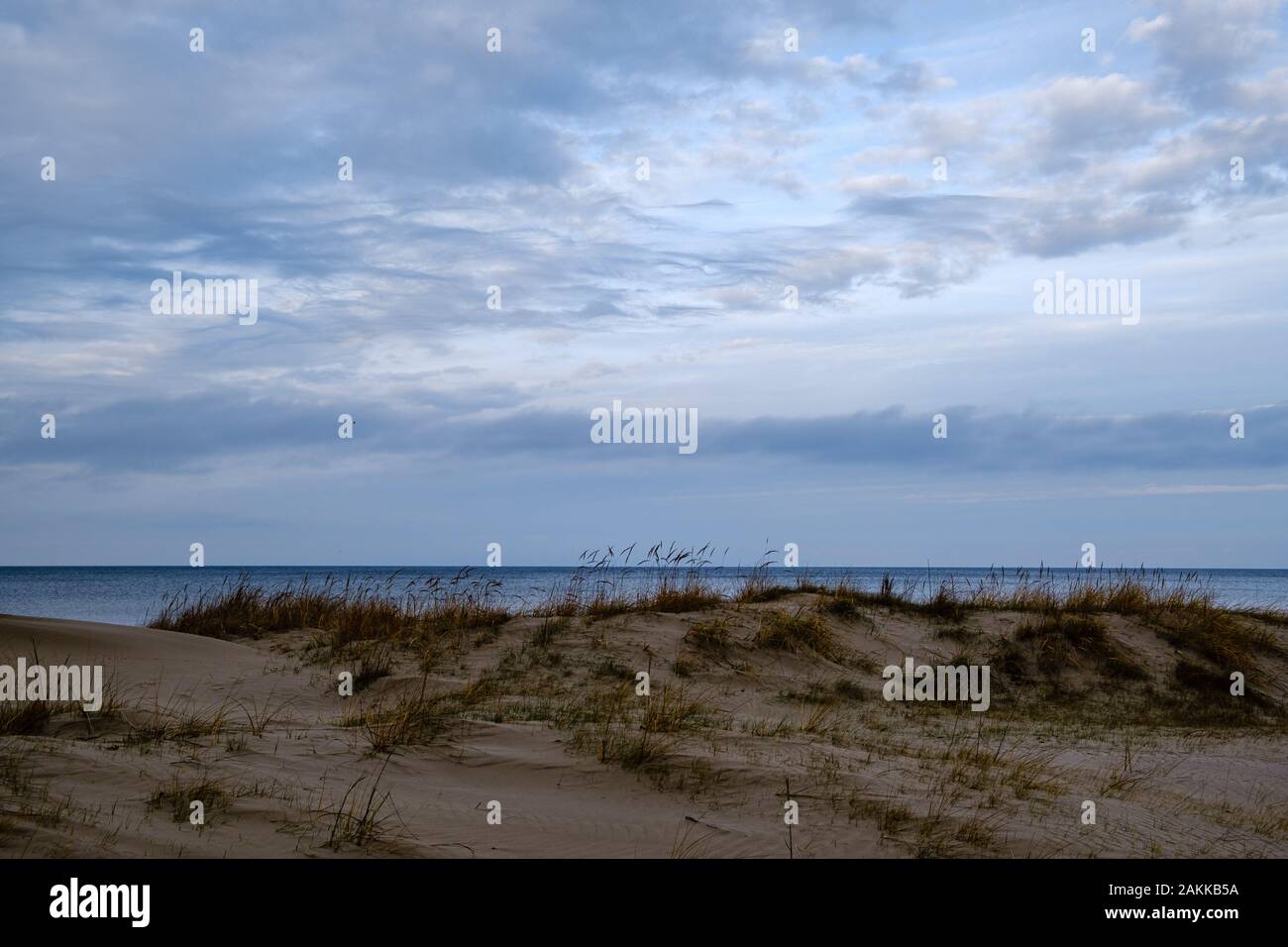 empty sea beach in autumn with some bushes and dry grass. water in ...