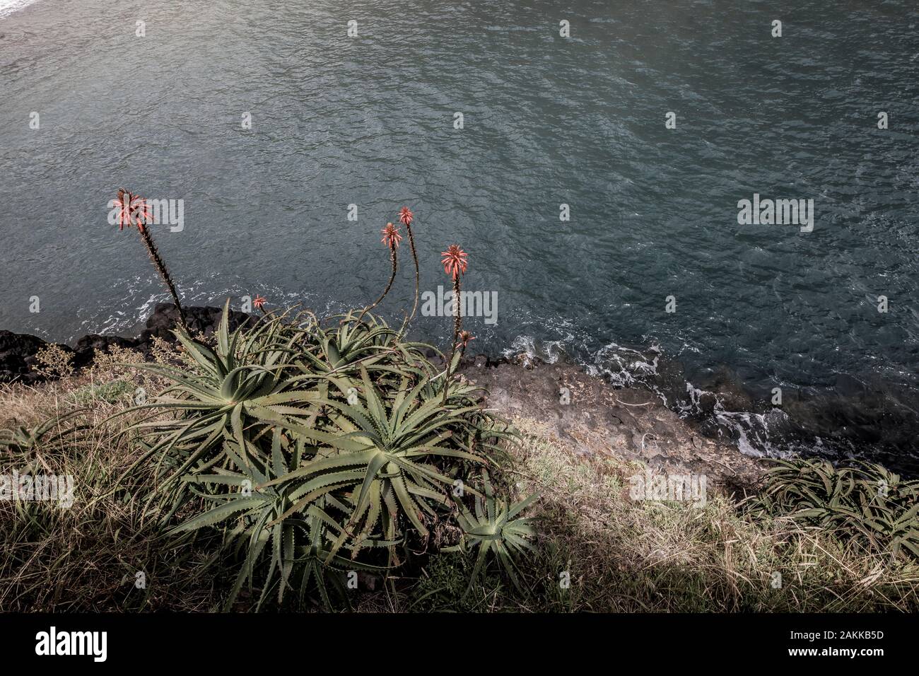 Landscape at the Island of Madeira, Portugal, Europe Stock Photo - Alamy