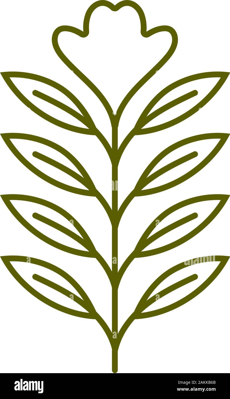 flower stem botany nature plant line style vector illustration Stock ...