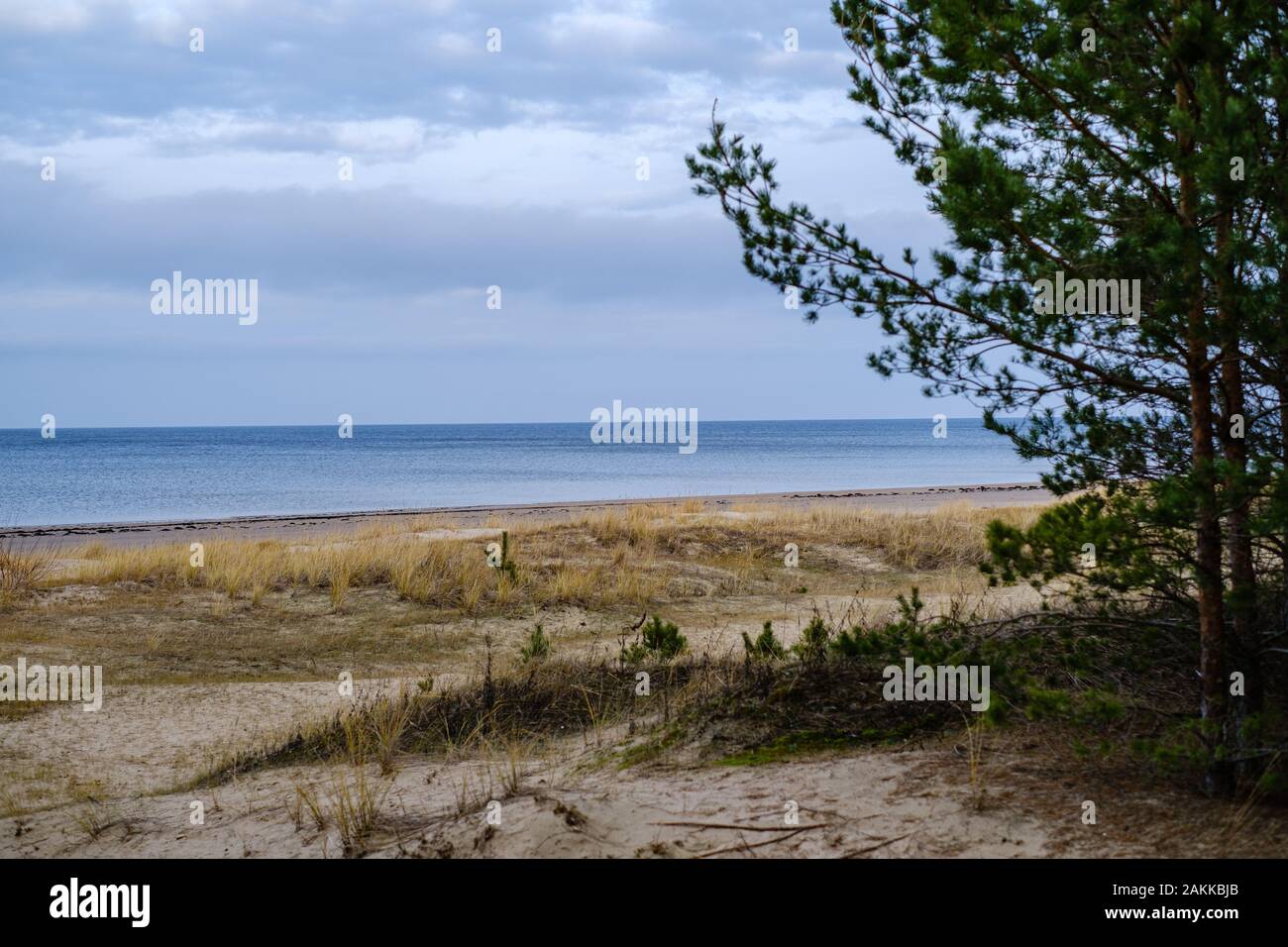 empty sea beach in autumn with some bushes and dry grass. water in ...
