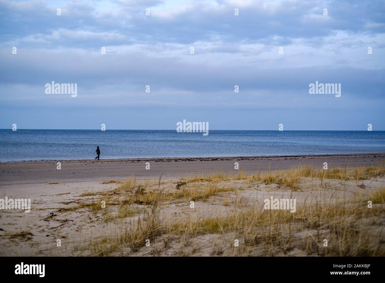 empty sea beach in autumn with some bushes and dry grass. water in ...