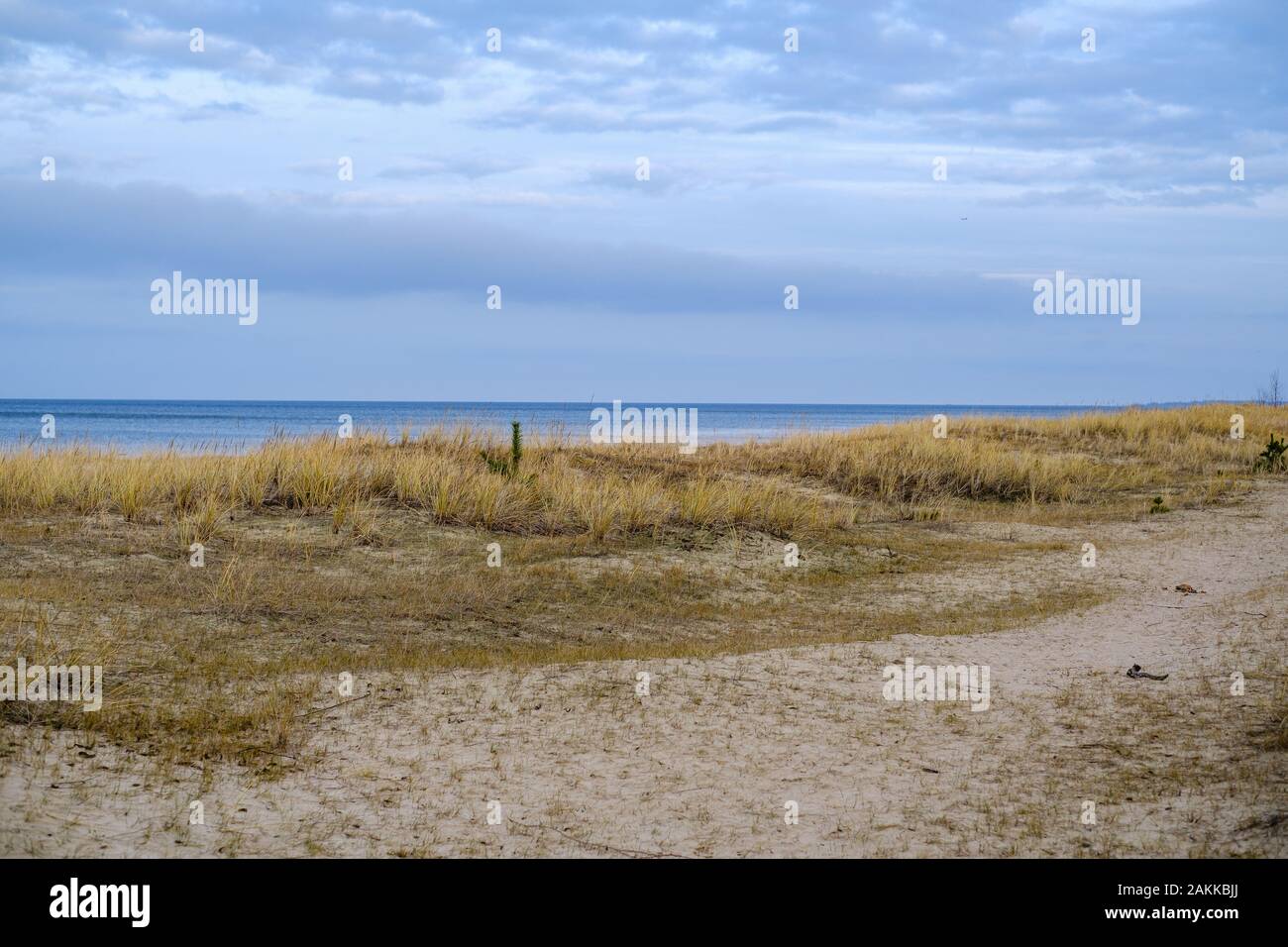 empty sea beach in autumn with some bushes and dry grass. water in ...