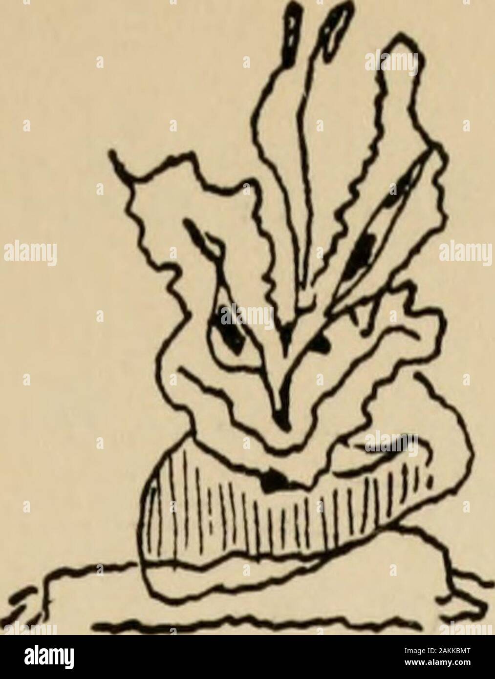 The little god, child verse for grown-ups Stock Photo - Alamy