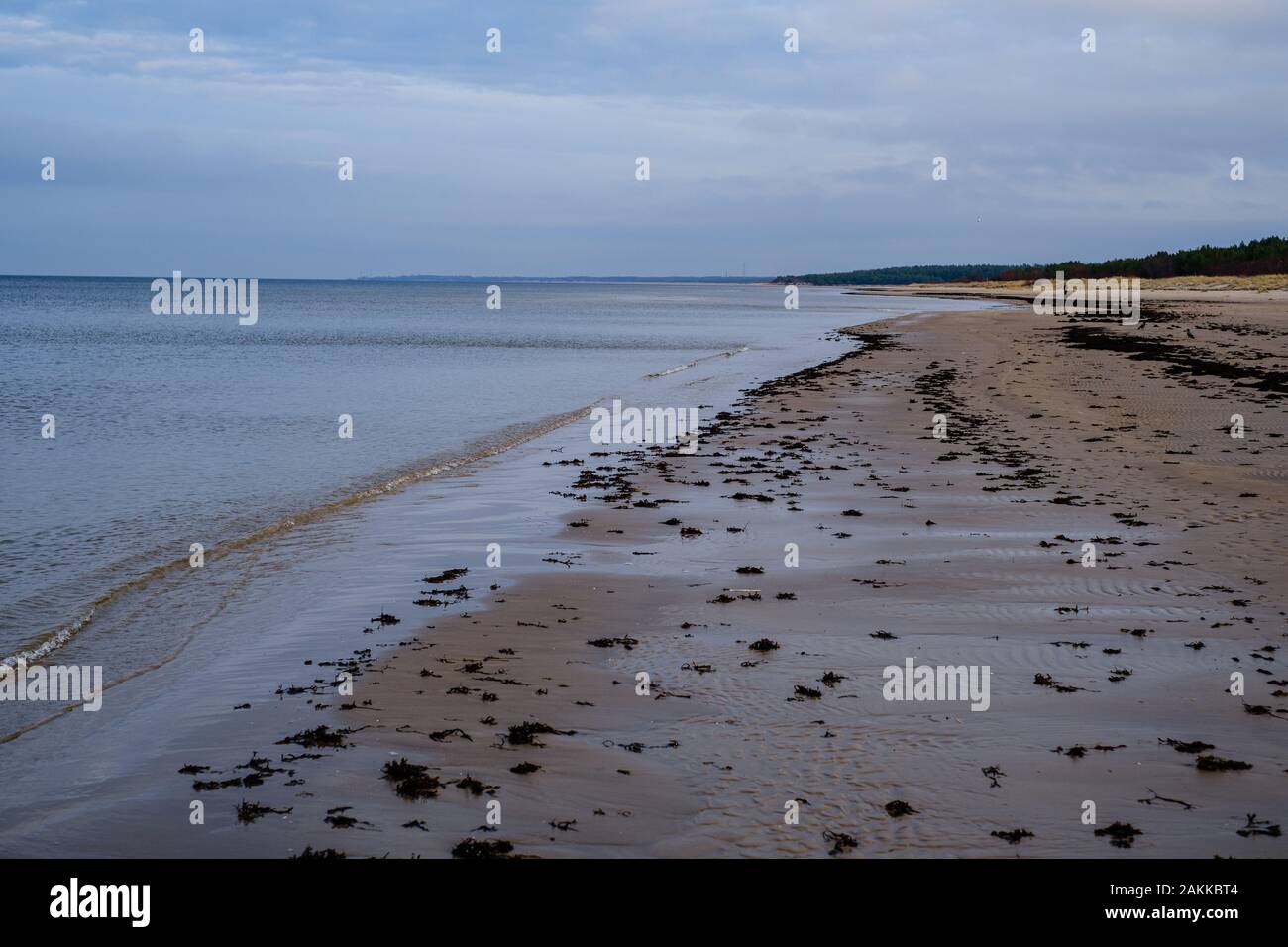 empty sea beach in autumn with some bushes and dry grass. water in ...