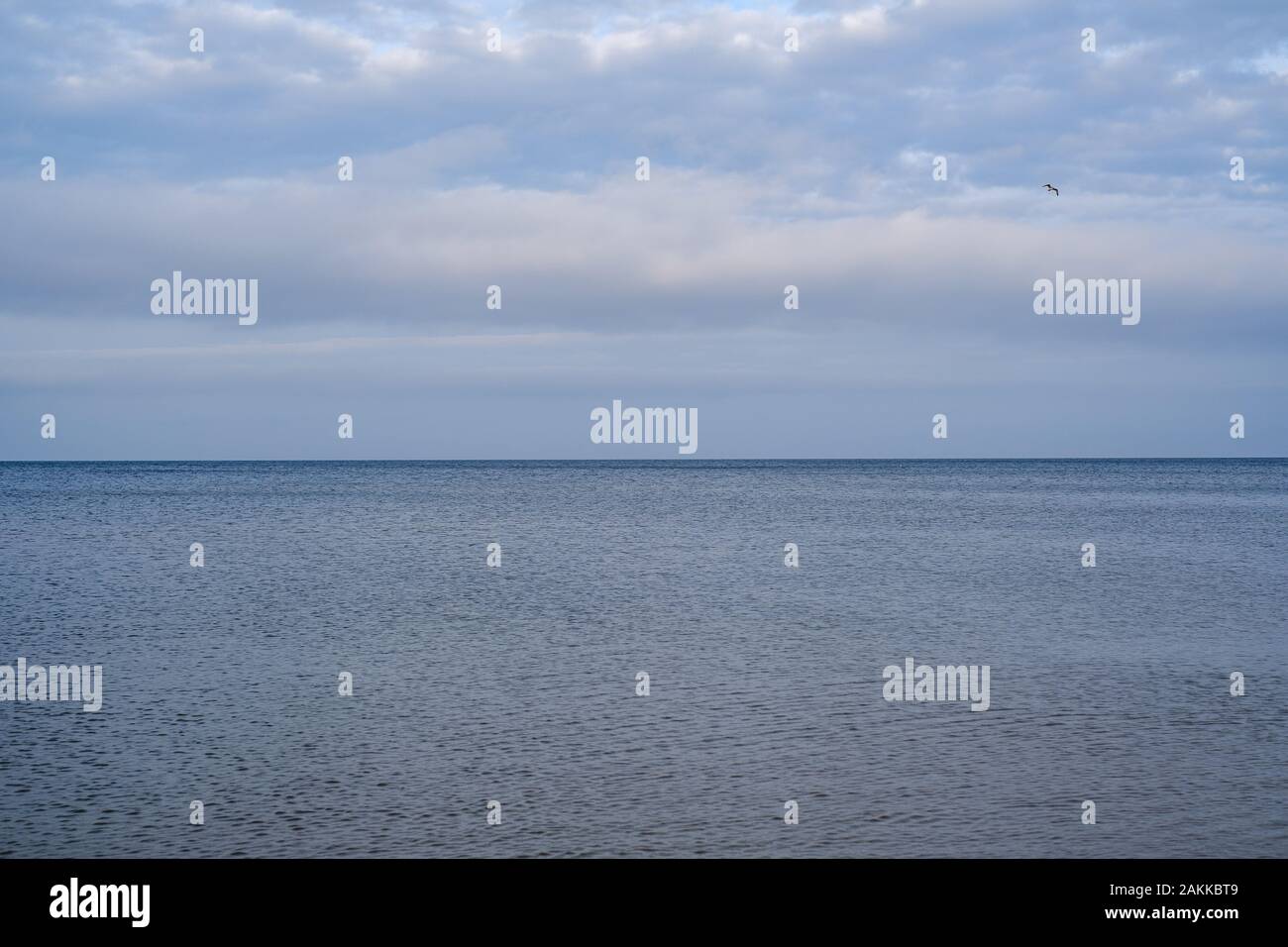 empty sea beach in autumn with some bushes and dry grass. water in ...