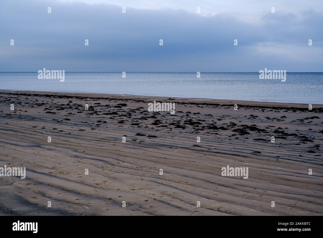 empty sea beach in autumn with some bushes and dry grass. water in ...