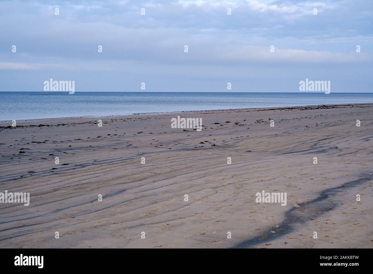 empty sea beach in autumn with some bushes and dry grass. water in ...