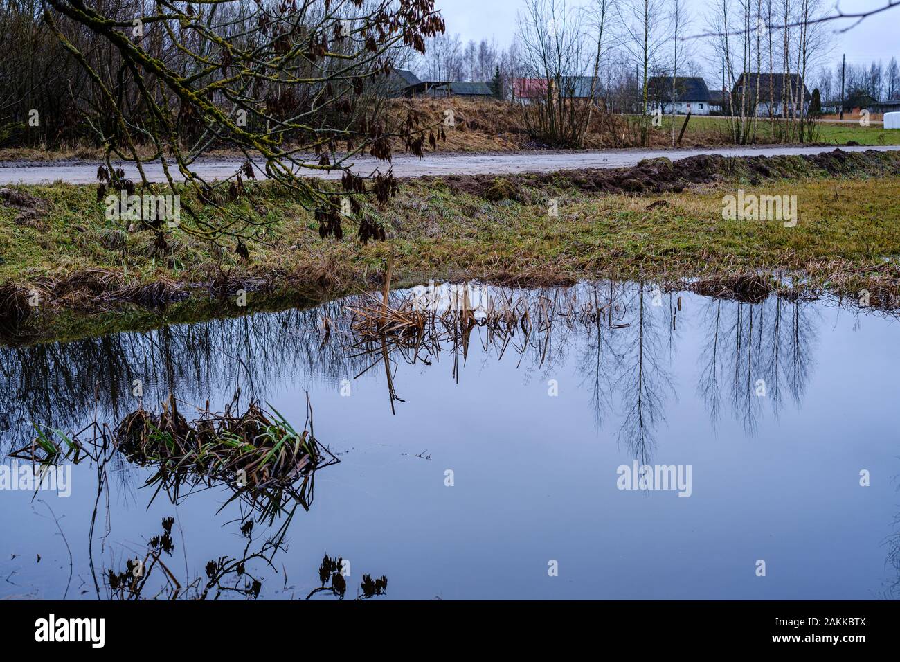 autumn river with flooded shore with trees in the water Stock Photo - Alamy