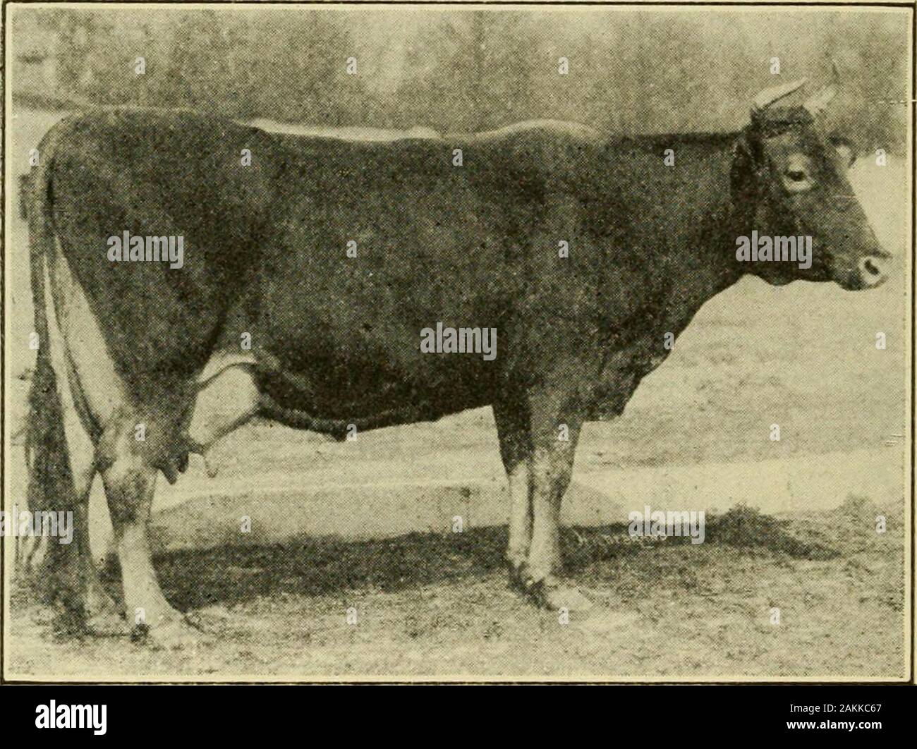 1 8 percent fat hi-res stock photography and images - Alamy