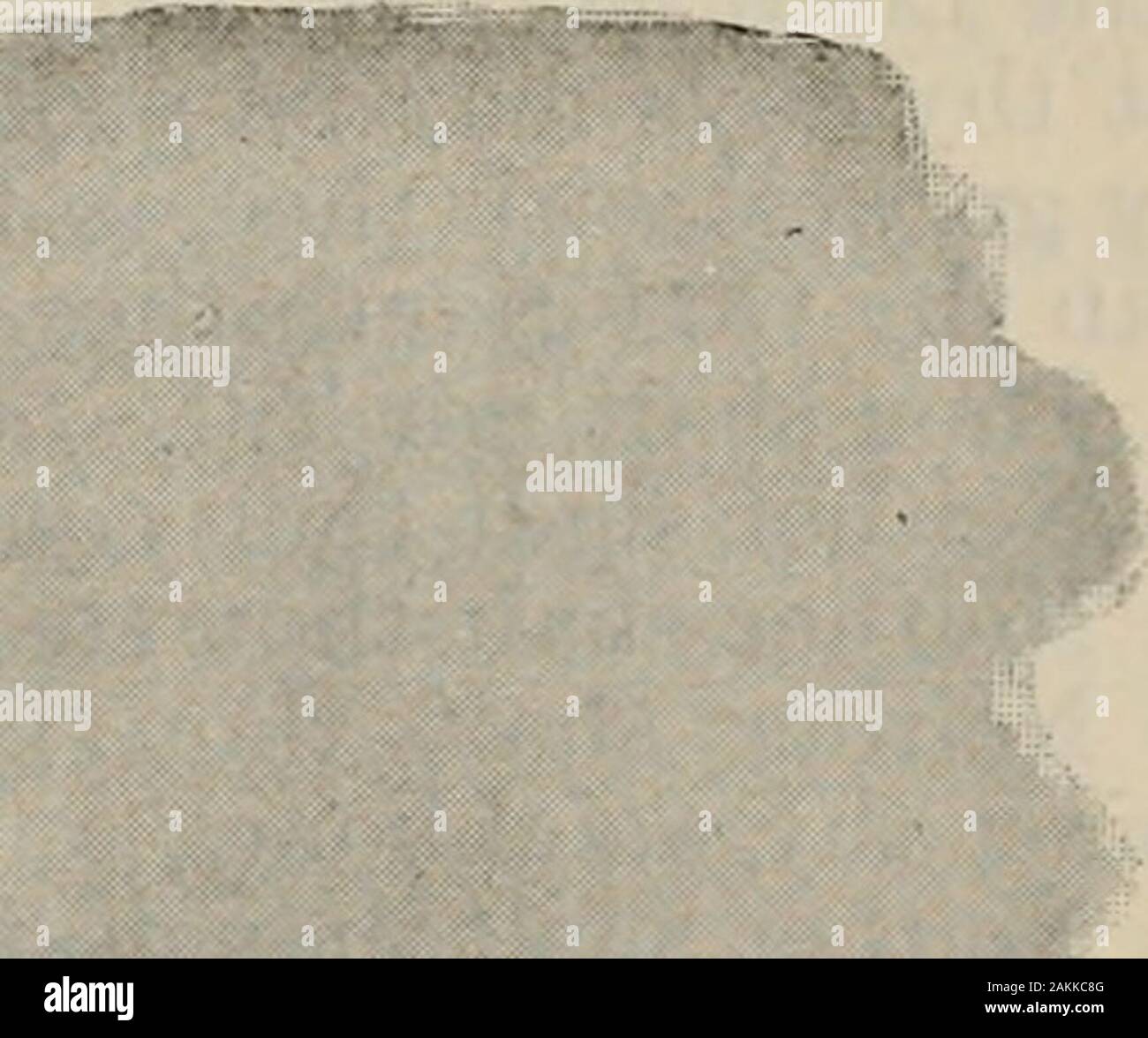 Beth peor jordan valley hi-res stock photography and images - Alamy