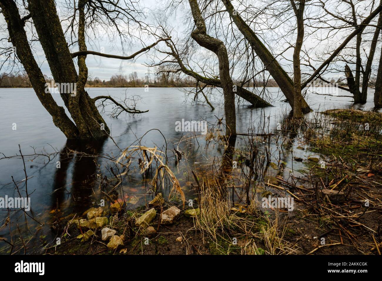 autumn river with flooded shore with trees in the water Stock Photo - Alamy