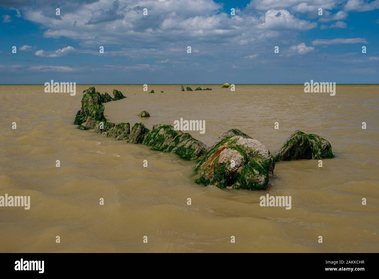 Leftovers of a algae covered shipwreck from a World War ship at a beach ...