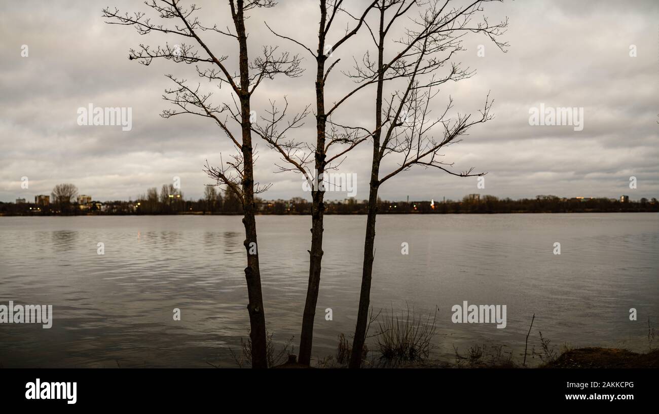 autumn river with flooded shore with trees in the water Stock Photo - Alamy