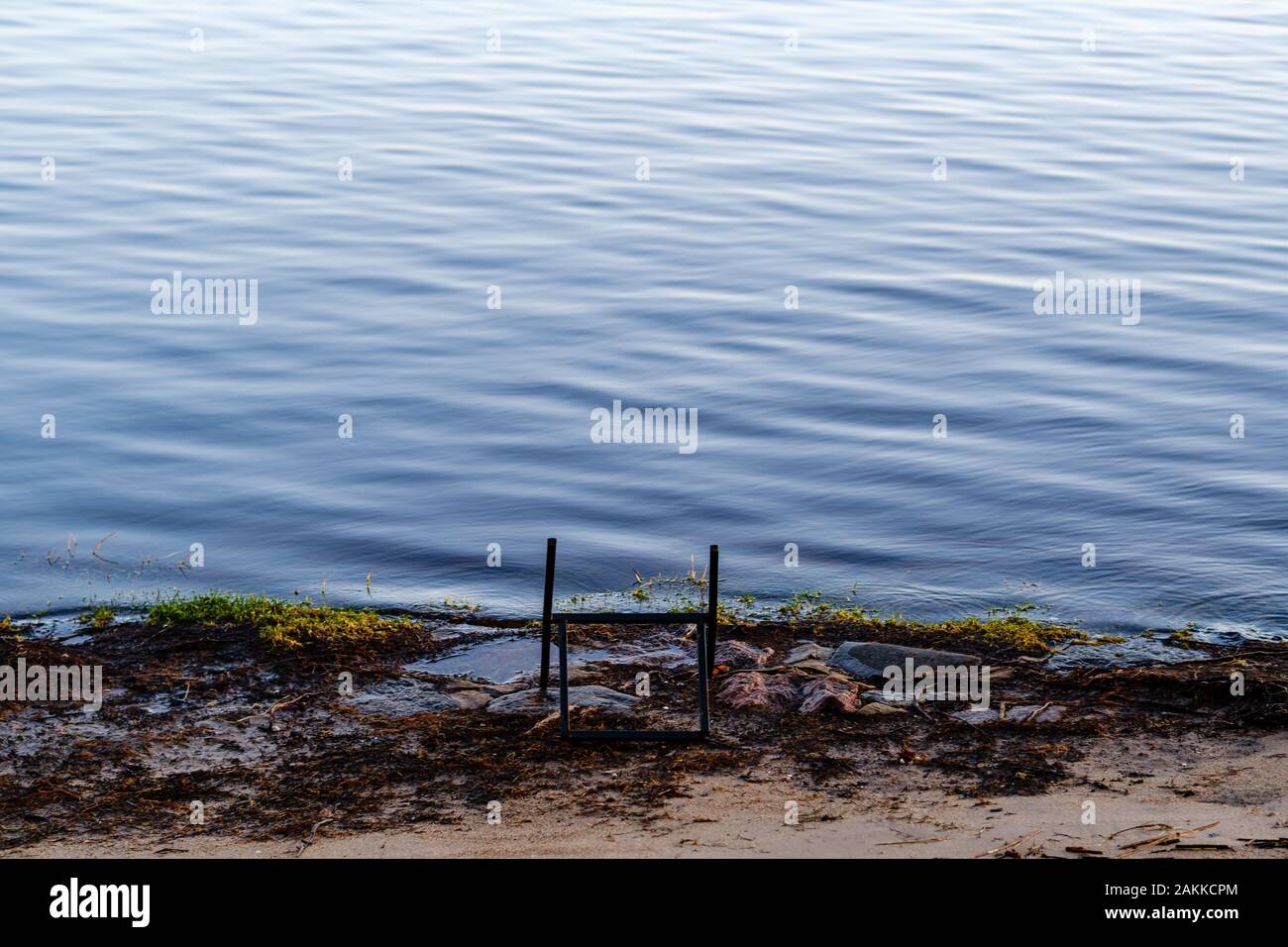 empty sea beach in autumn with some bushes and dry grass. water in ...