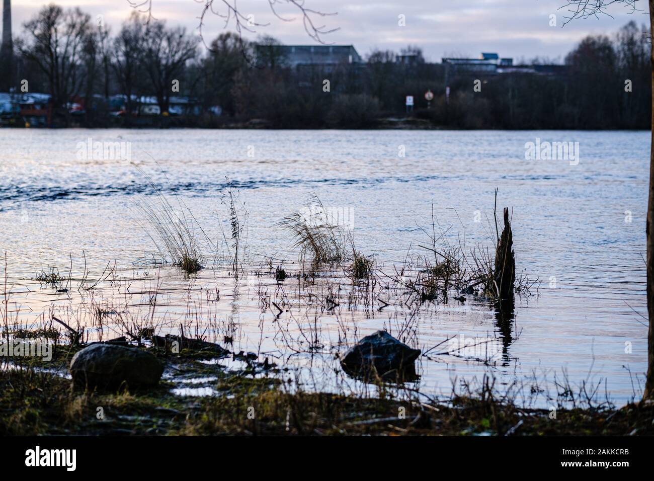 autumn river with flooded shore with trees in the water Stock Photo - Alamy