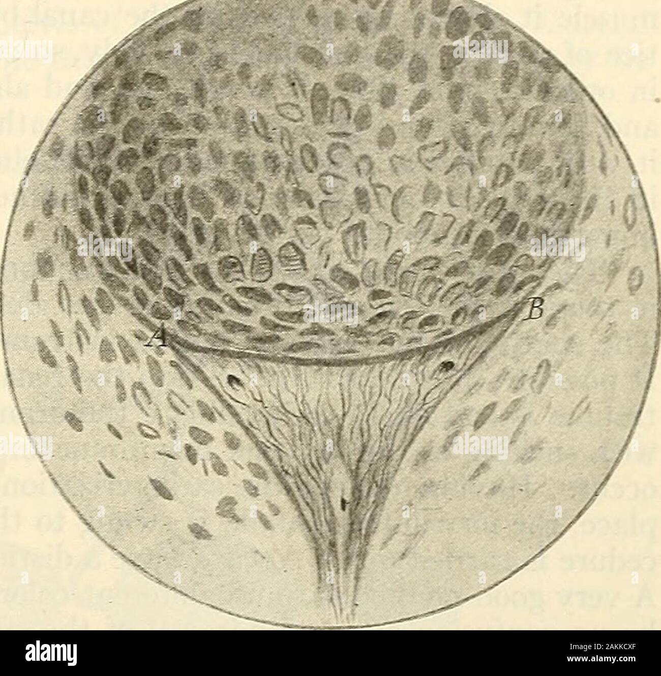 Orifices orifice hi-res stock photography and images - Alamy