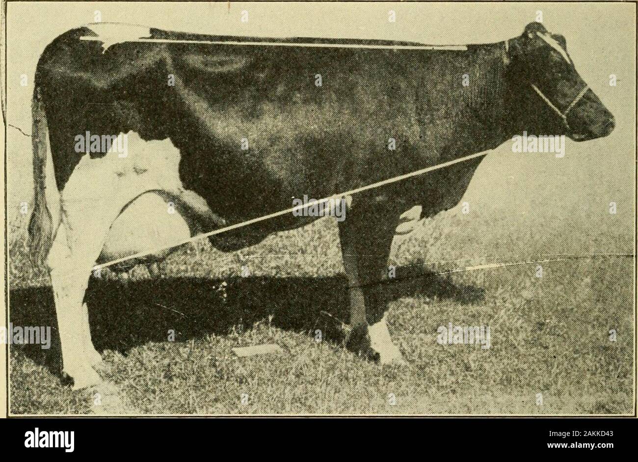 Yea triangular hi-res stock photography and images - Alamy