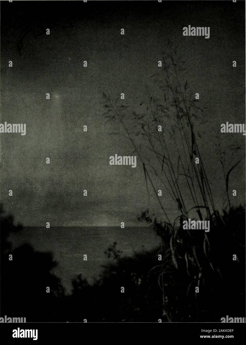 Amidol hi-res stock photography and images - Alamy