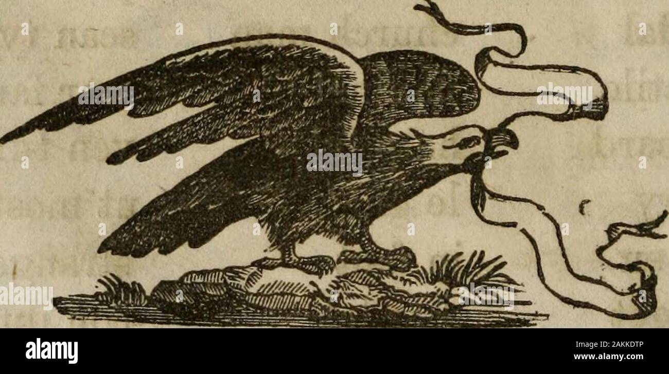 Max owl hi-res stock photography and images - Alamy