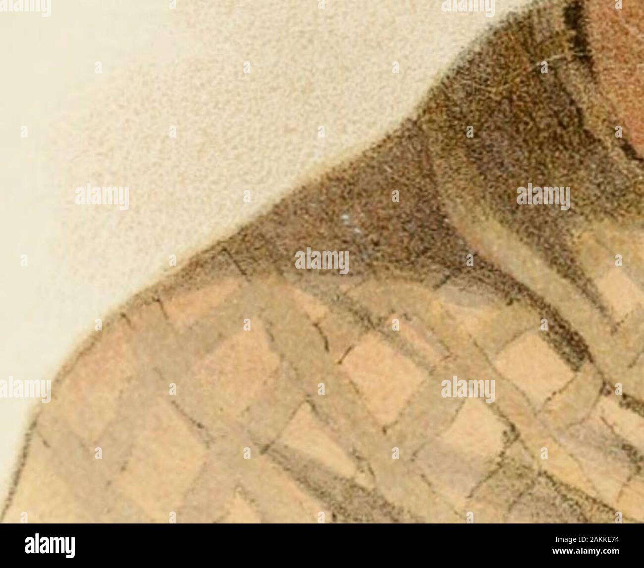 Rodent ulcer hi-res stock photography and images - Alamy