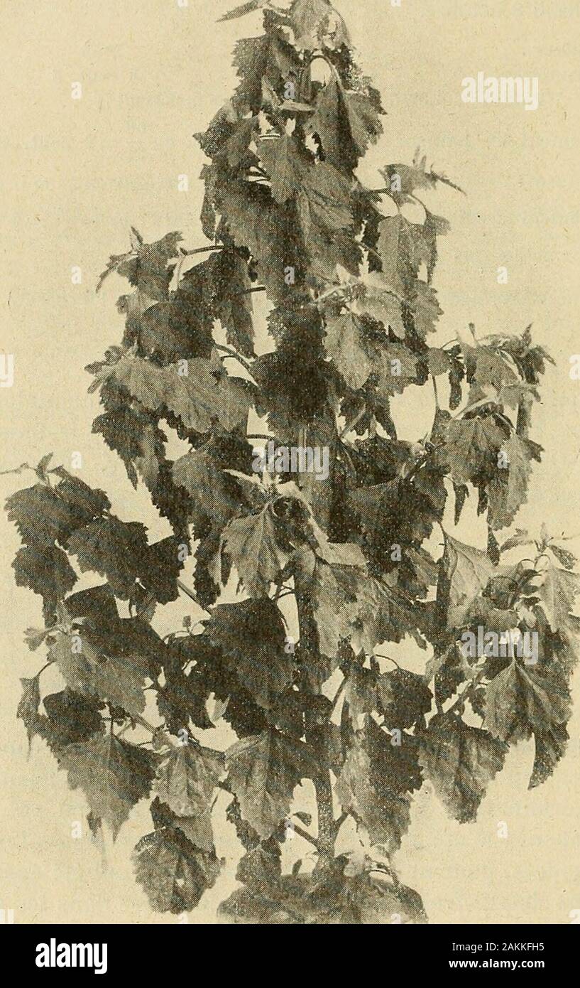 Chassis froid hi-res stock photography and images - Alamy