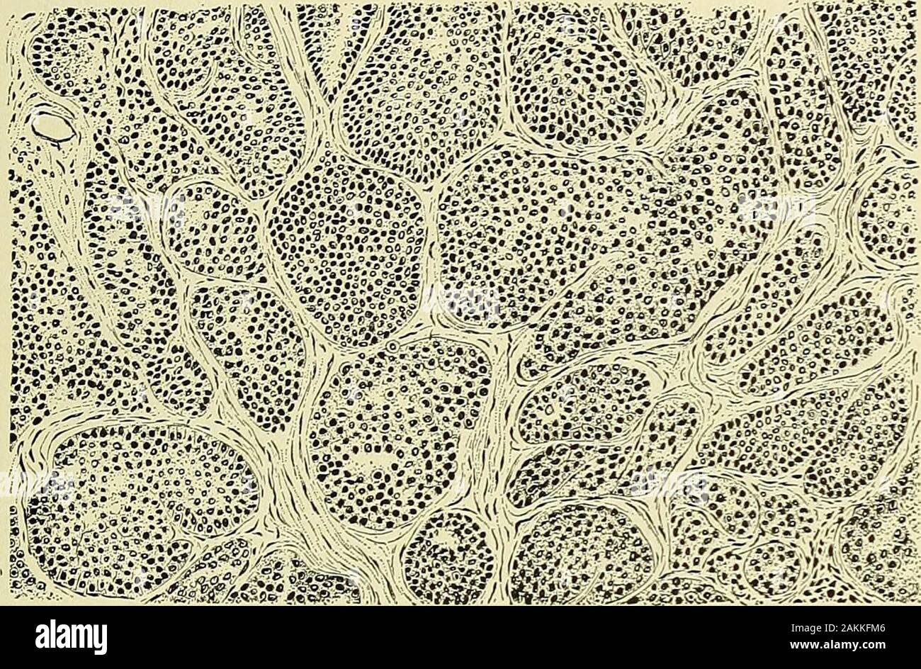 A manual of modern surgery : an exposition of the accepted doctrines ...