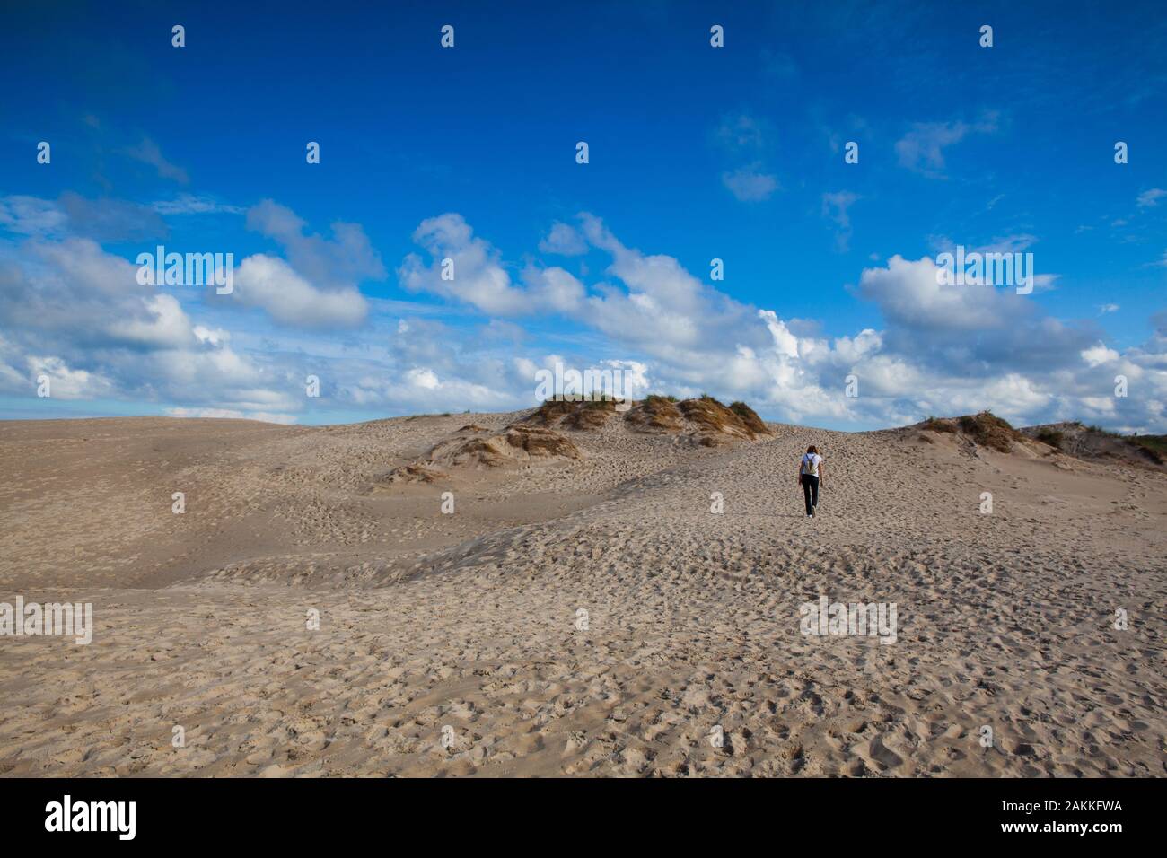 The wandering dune rabjerg mile hi-res stock photography and images - Alamy