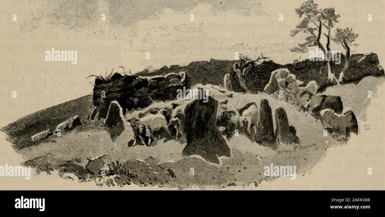 Rimmon hi-res stock photography and images - Alamy