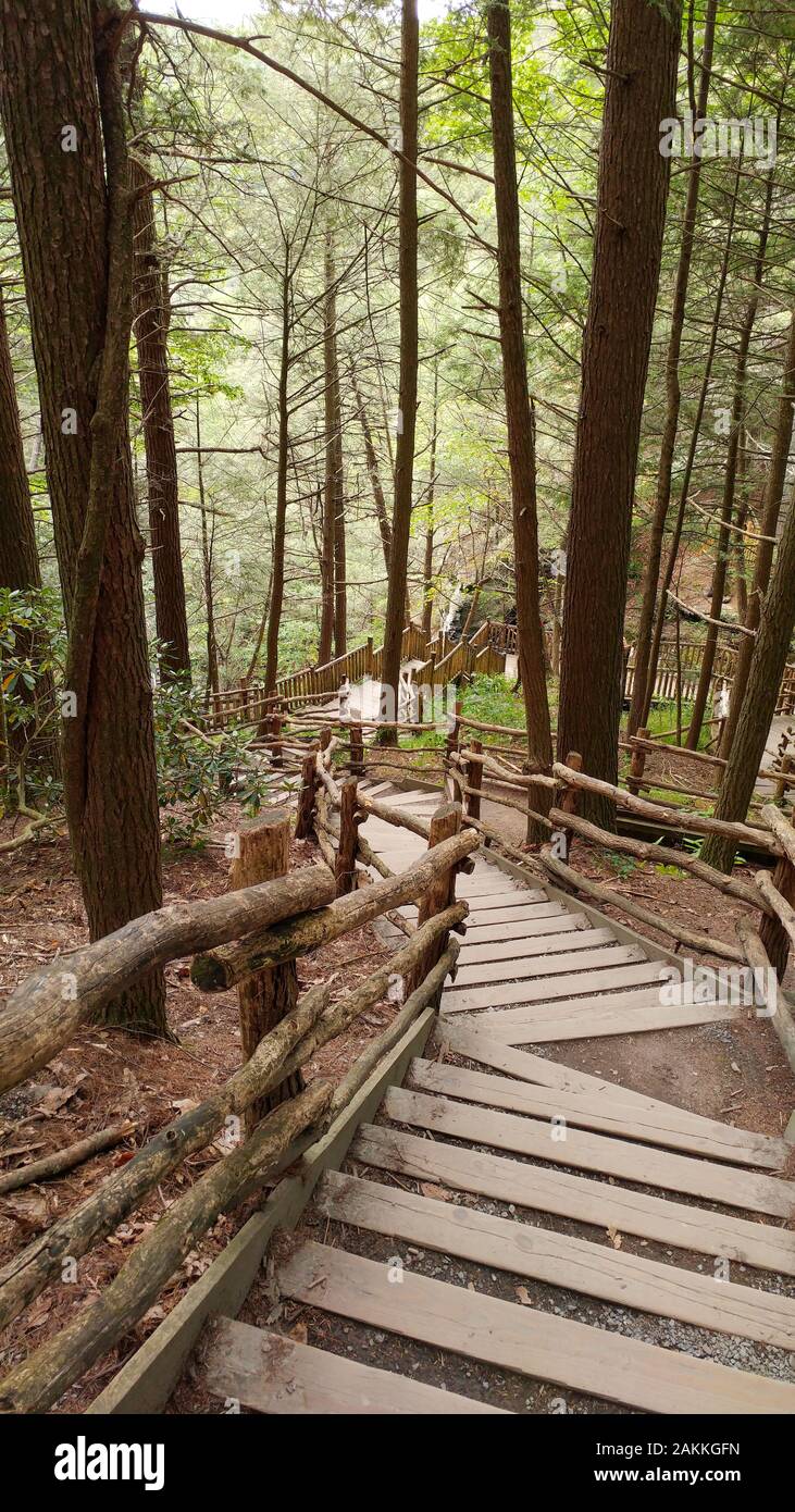 Stairs falls hi-res stock photography and images - Alamy