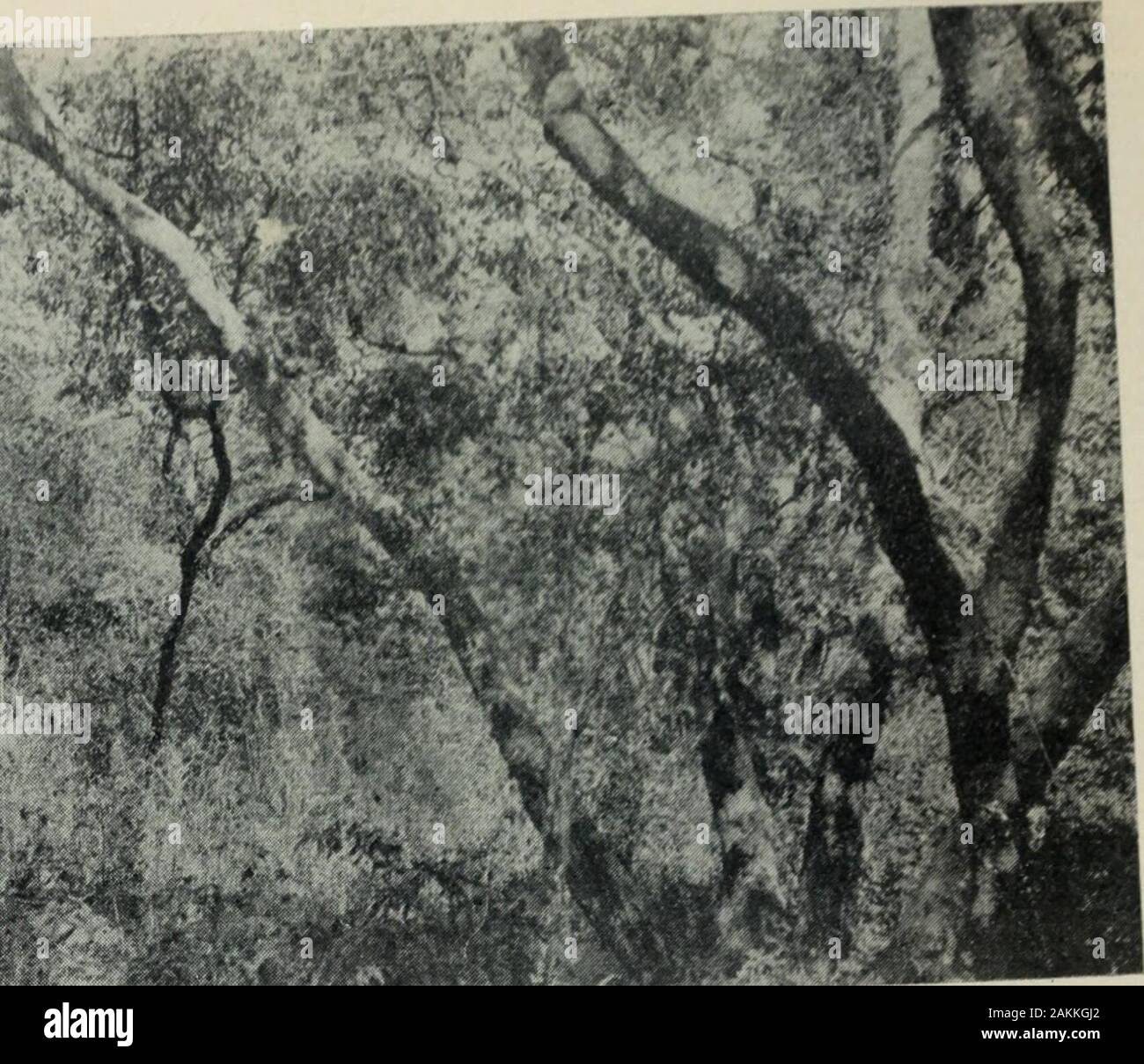 Farming in rhodesia hi-res stock photography and images - Alamy