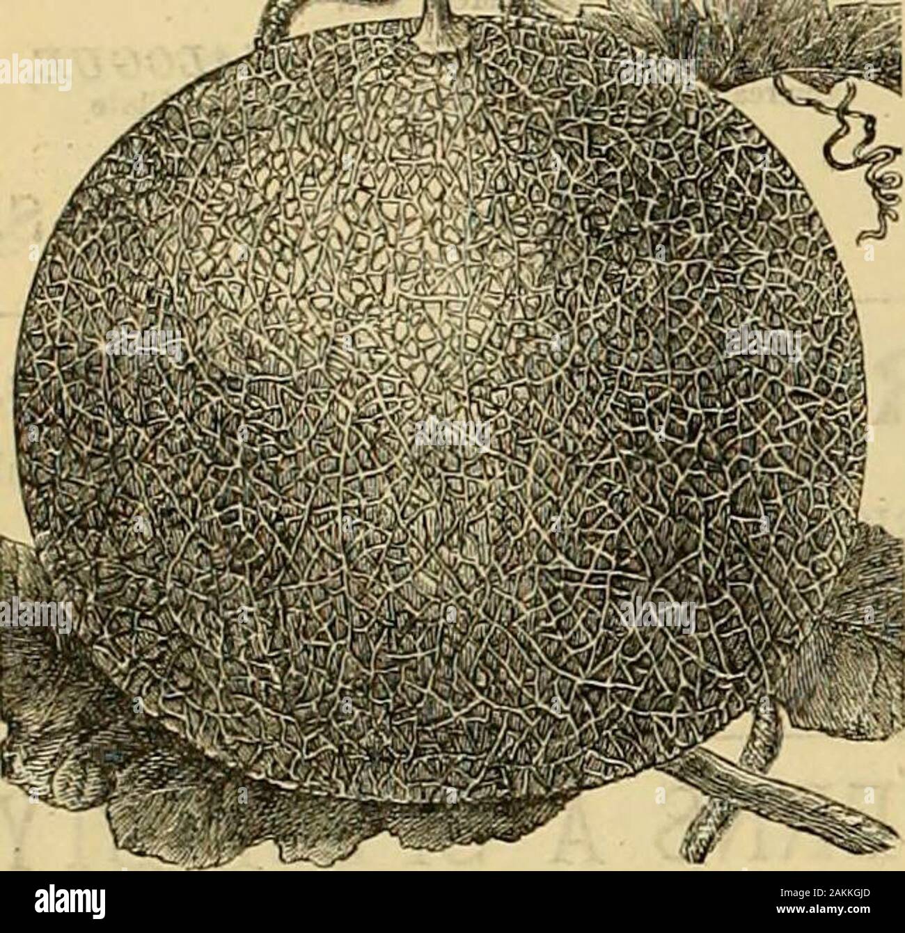 Thomas rivers sawbridgeworth hi-res stock photography and images - Alamy