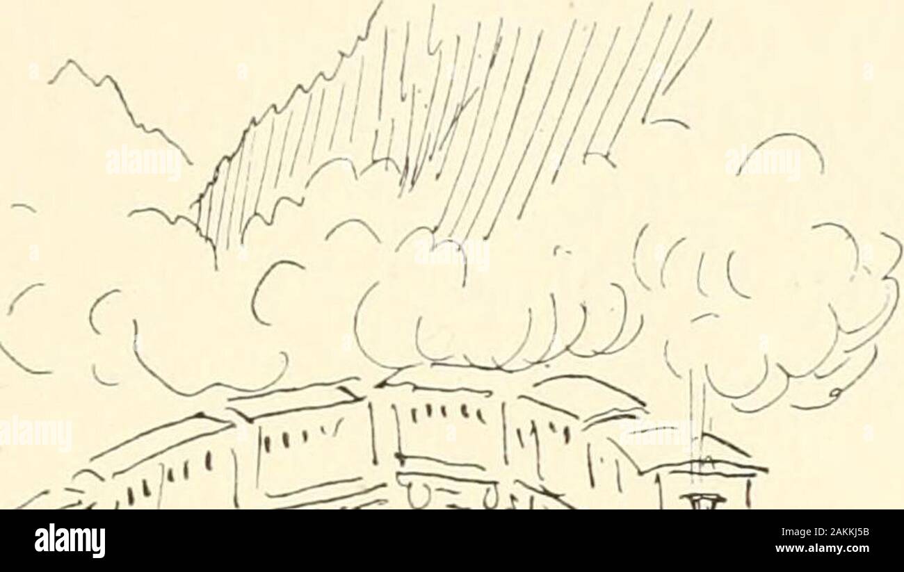 Ash snake hi-res stock photography and images - Alamy