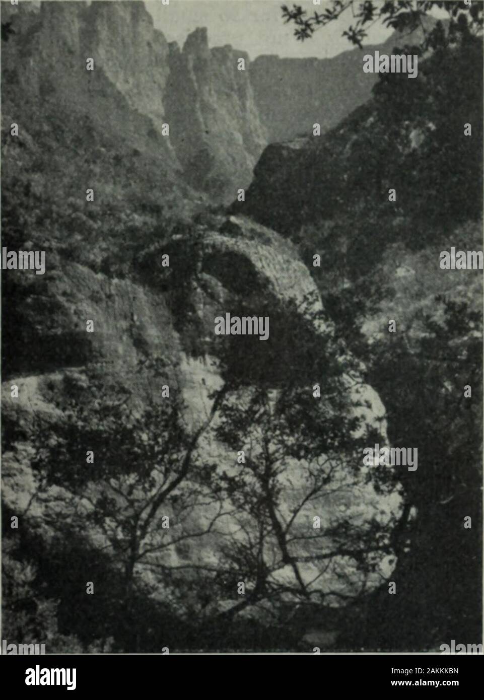 Southern Africa, the land and its peoples . don,but most of the surface ...