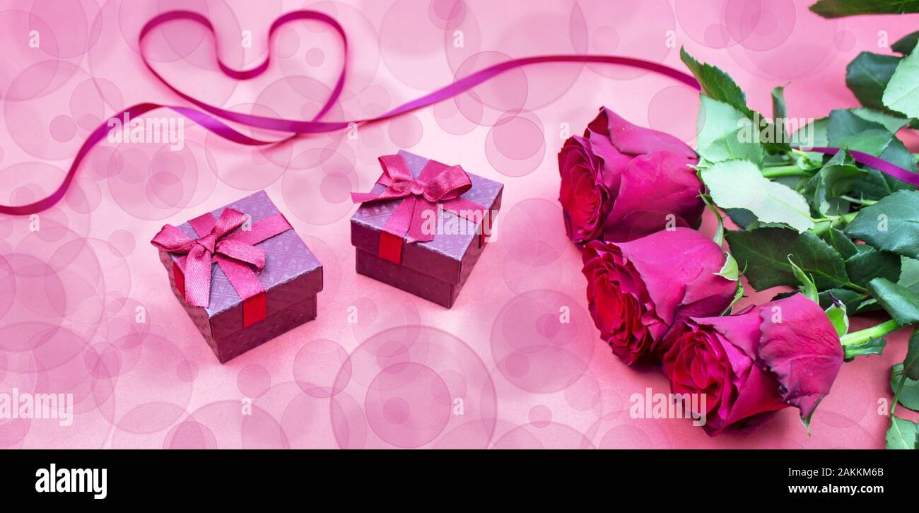 Beautiful rose flower in garden. Rose flower background. Roses flower ...