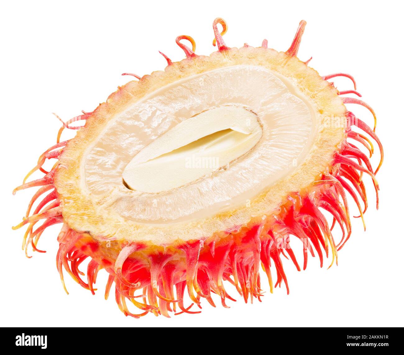 Rambutan plant Cut Out Stock Images & Pictures - Alamy
