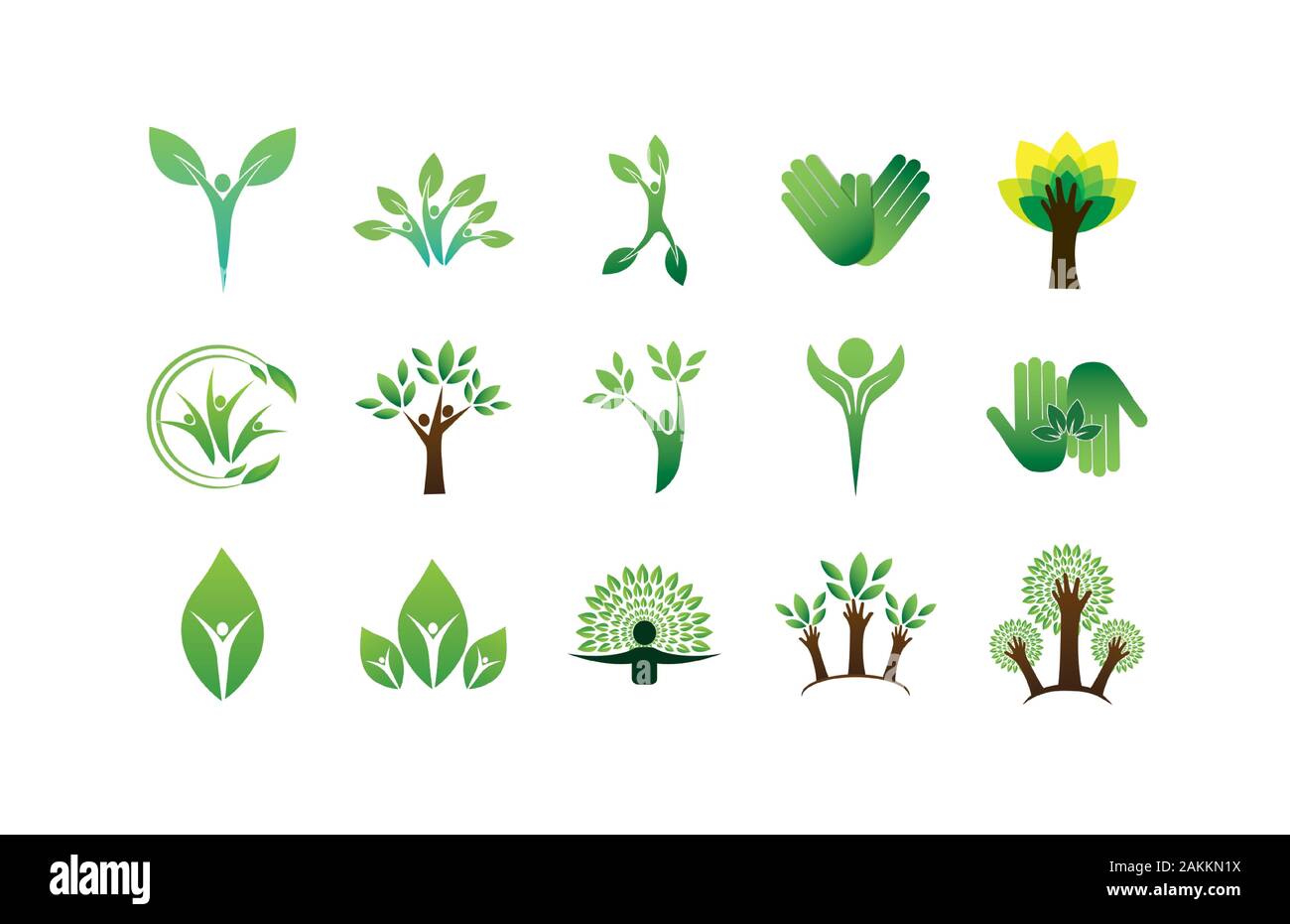Isolated natural leaves support shapes icon set design of Floral nature ...