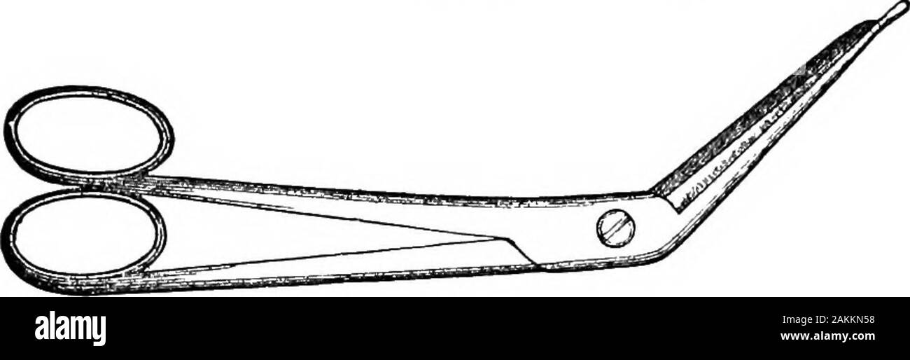 Bleeding sheep in Black and White Stock Photos & Images - Alamy