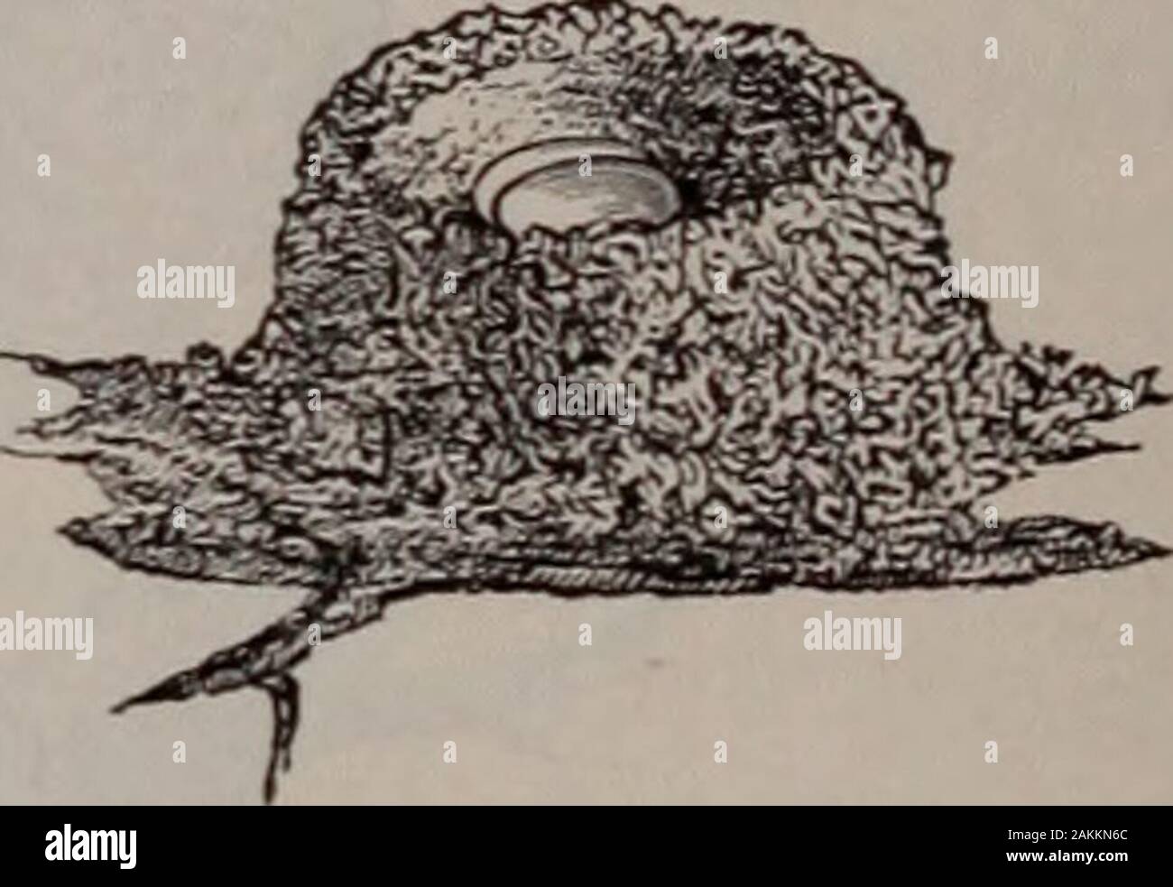 115 feet long hi-res stock photography and images - Alamy