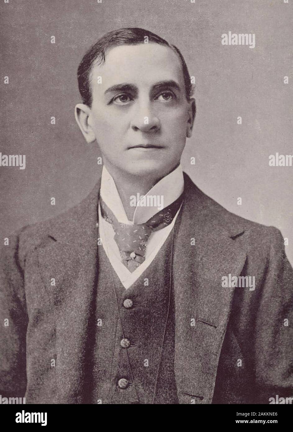 English hare hi-res stock photography and images - Alamy