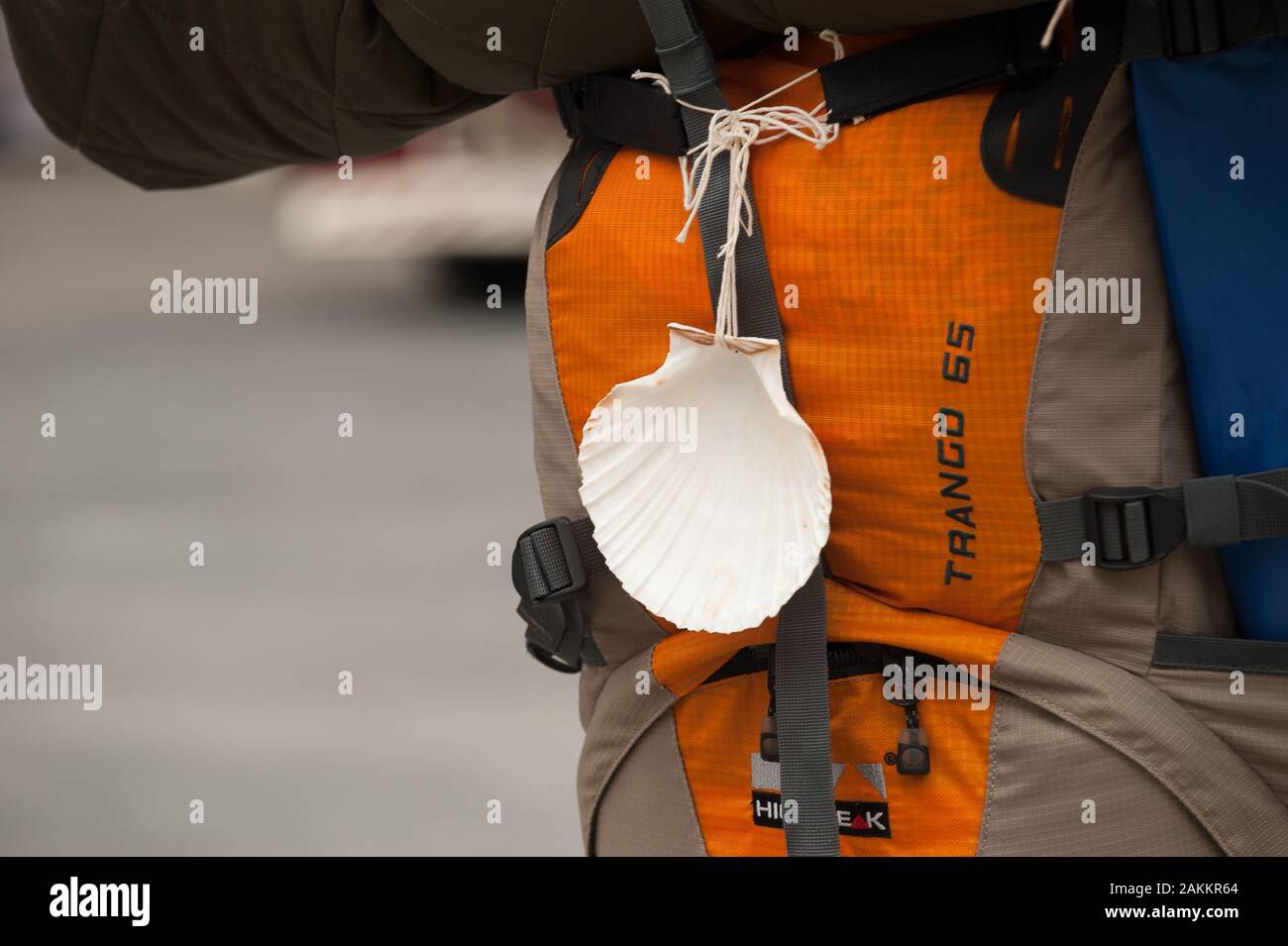 Shell symbol at santiago de compostela cathedral hi-res stock ...