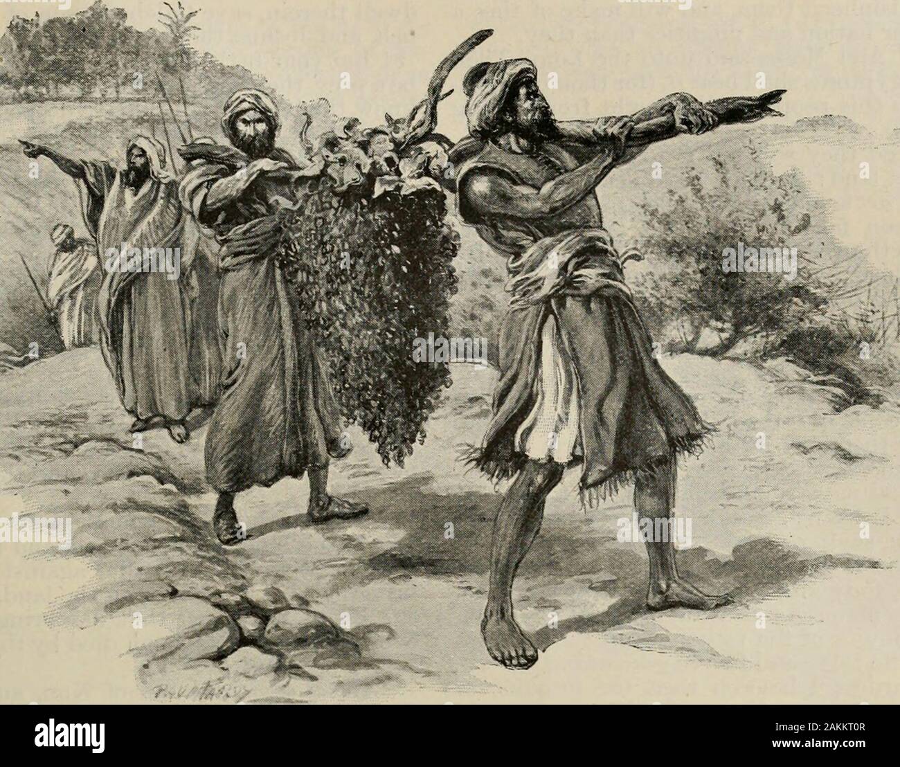 Eshcol hi-res stock photography and images - Alamy